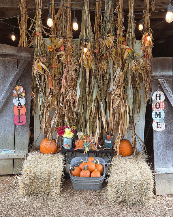 JOHNSON CITY PUMPKIN PATCH & FALL FUN – Paradise Acres